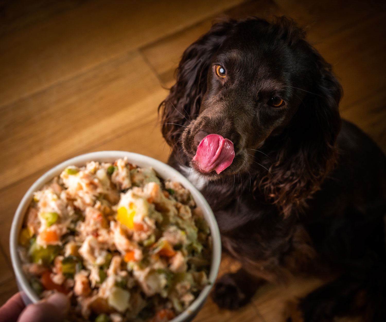 Monty's Larder - Chef Prepared Food for Dogs