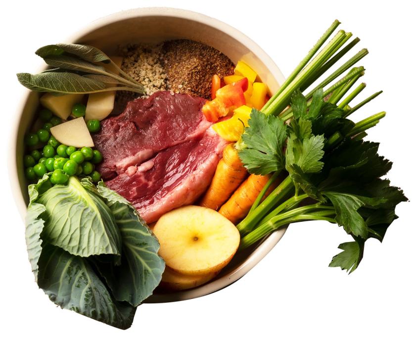 Monty's Larder - Chef Prepared Food for Dogs